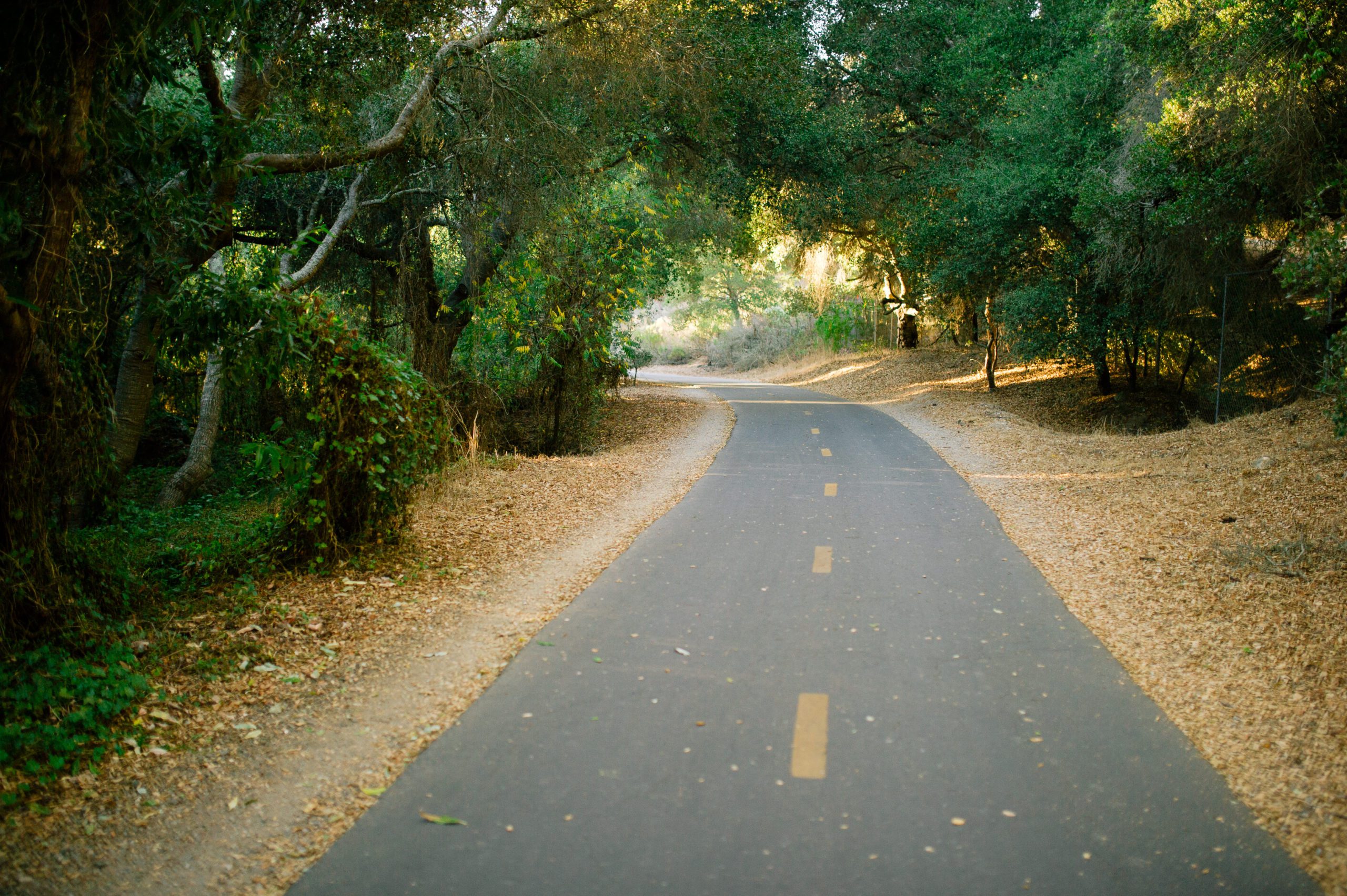 Bob Jones Bikeway Plan - Cannon